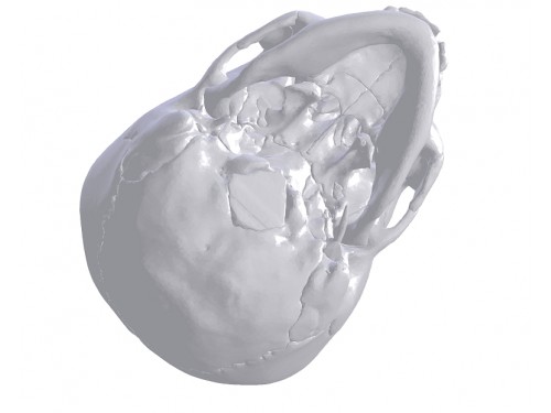 Human Skull Masterpiece - STL for 3D Printing - Freelance 3D Printing ...