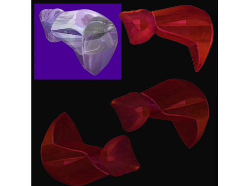 Liver Shell - Freelance 3D Modeling Design - Cad Crowd