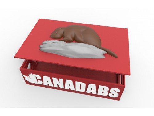 Canadabs Beaver Box - Freelance General Design - Cad Crowd