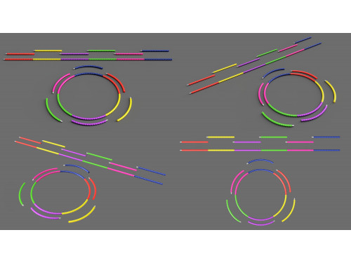 Segmented Connect-a-Hoop - Freelance Industrial Design Services - Cad Crowd